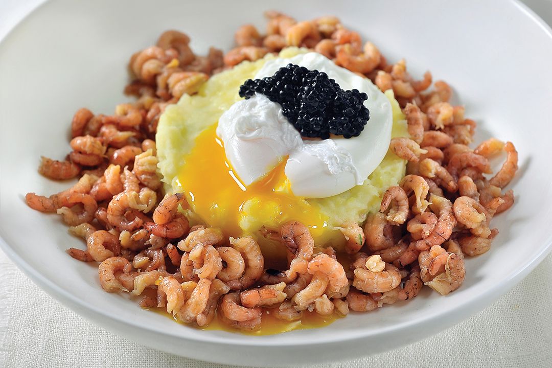 Genieten van grijze garnalen: 10 recepten